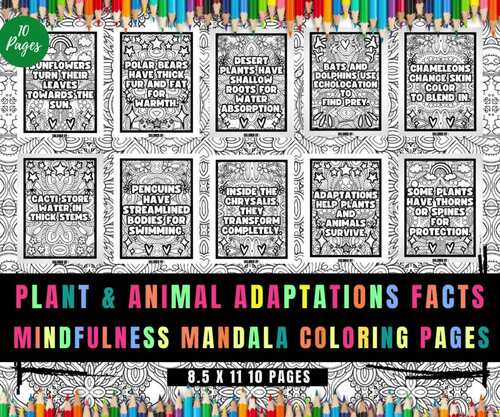 Plant and Animal Adaptations Facts, Upper Elementary, Craft Coloring Sheets