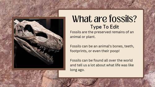 Ready Made Presentation - Fossils Science- Ready To Edit! Mini Lesson