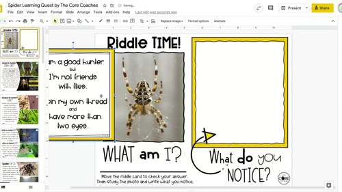 Spider Activities & Worksheets, Spider Writing Paper, Arachnid & Spider ...
