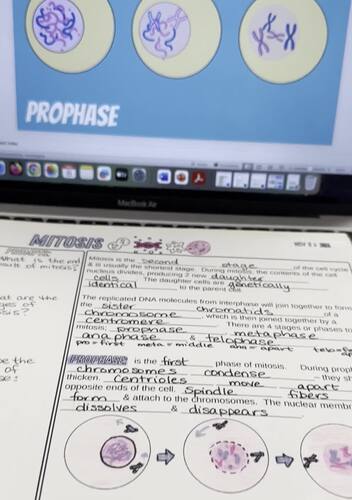 Mitosis & Cytokinesis Powerpoint, Notes, Cell Cycle Wheel assignment