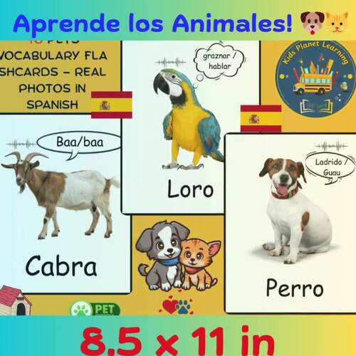 Spanish Pets Vocabulary BUNDLE – Flashcards & Coloring Pages with Baby ...