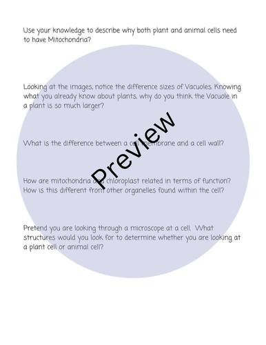 Animal vs Plant Cells Worksheets Digital and Print by GoScienceGo