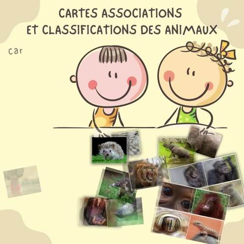 Cartes - associations et classifications - animaux by Creations Bonheur