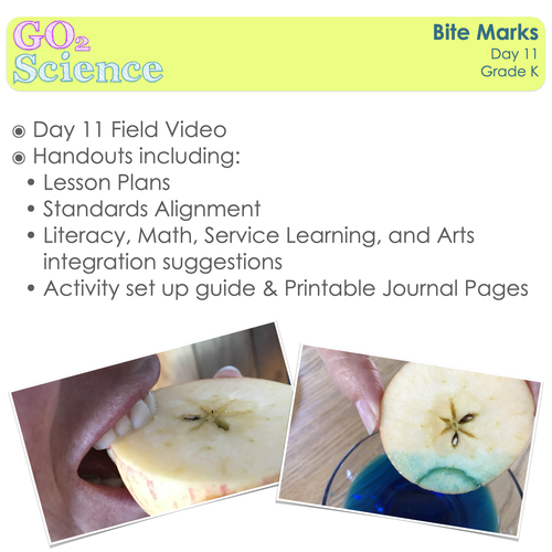 Mission Dinosaur Day 11 (Kindergarten) by Go2Science | TPT