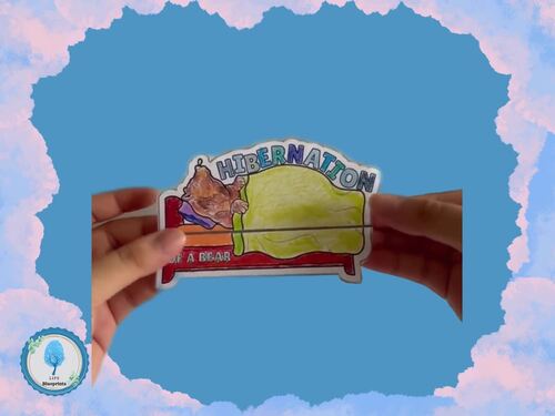 Bear Hibernation Foldable Activity | Brown Bear Unit Study | Winter Study