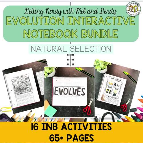 Interactive Notebook Activities for Evolution, Natural Selection ...