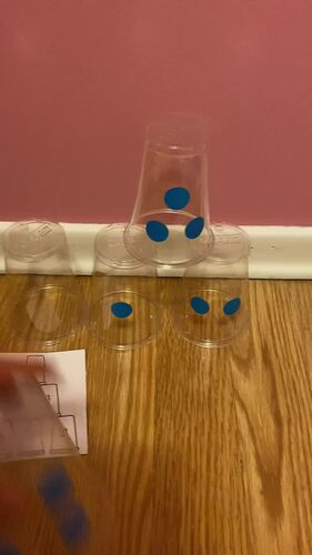 Subitizing Cups Stacking Activity, Math Game Fine Motor Skills by ALGFun