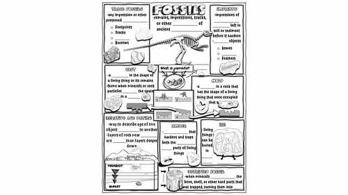 Fossils Doodle Notes & Quiz + PowerPoint | NGSS Earth History & Life ...