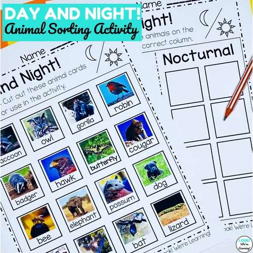 Diurnal and Nocturnal Animals Sorting Lesson - Print + Digital BUNDLE