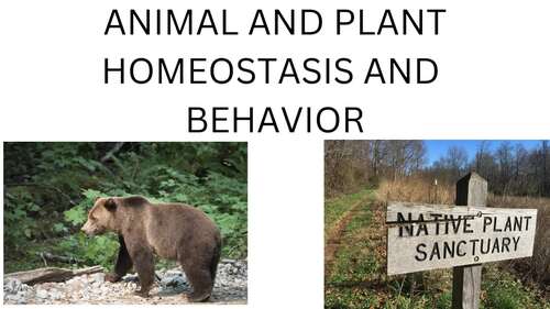 Biology Animal and Plant Homeostasis and Behavior Middle School Science