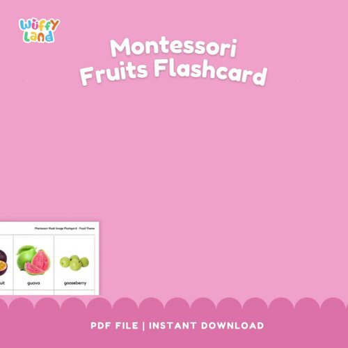 45 Montessori Fruit Flashcard, real image, Toddler & Preschool ...