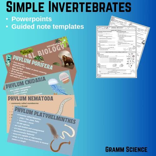 Simple Invertebrates: Sponges, Jellies & Worms. PPT & note templates