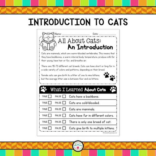 Cat Reading Comprehension Worksheets | Animal Reading About Cats Worksheets