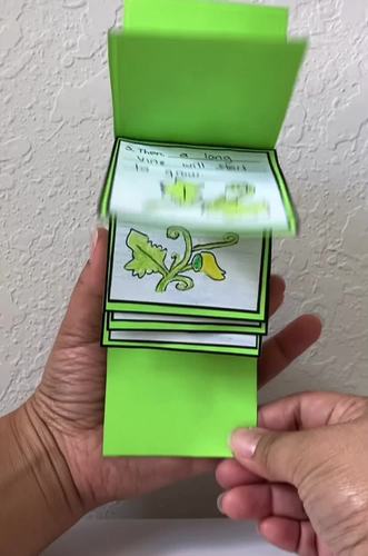 Life Cycle of a Pumpkin (Waterfall Card Activity) by The Hibiscus Teacher