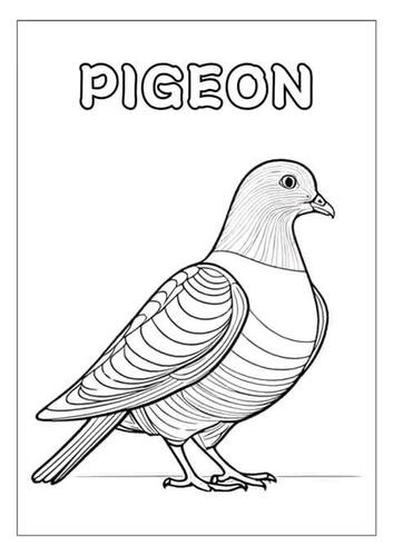 cute pigeon Printable Cute coloring sheet,Kids,illustration,Prek, page