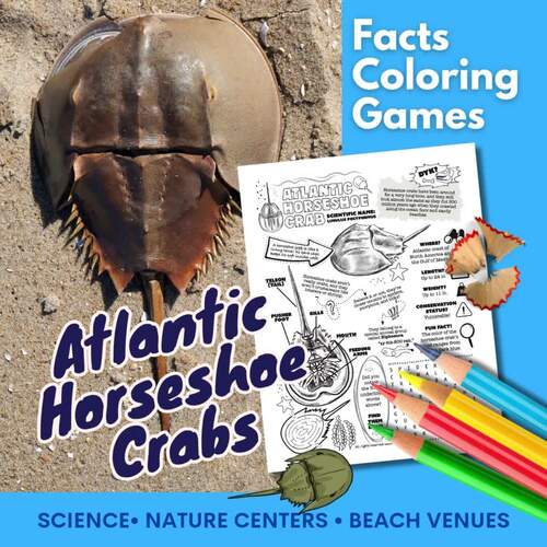 Horeshoe Crab - Basic Info + Fun Facts + Games - Gamification Learning ...