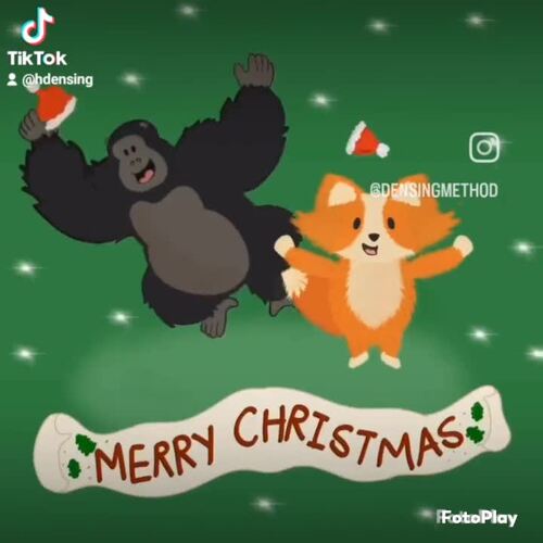 Christmas Adapted Books | A personalized Christmas Adventure | TPT