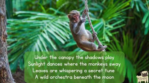 Music: Rainforest Song Classroom Songs Reading Lyrics Sing-along Biomes