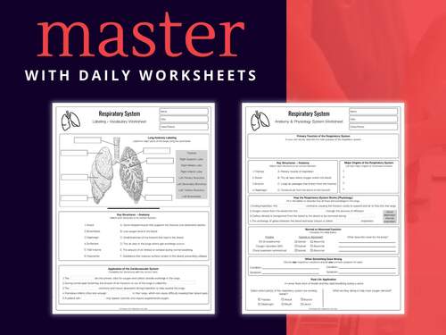 Respiratory System Worksheets + Answer Key | Anatomy & Physiology ...