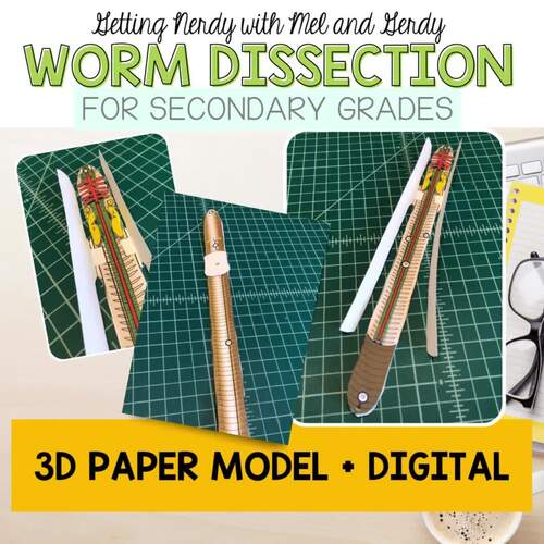 Earthworm Dissection Zoology | Biology 3-D Anatomy Paper Dissection Model