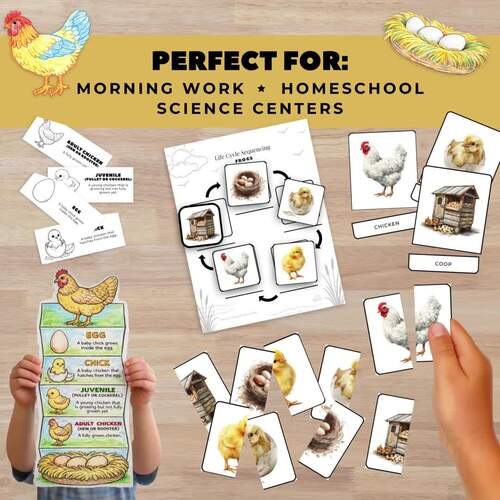 Chicken Life Cycle Activities BUNDLE, Birds Animal Science, Homeschool ...