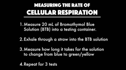 Cellular Respiration Activity with Claim Evidence Reasoning | TPT