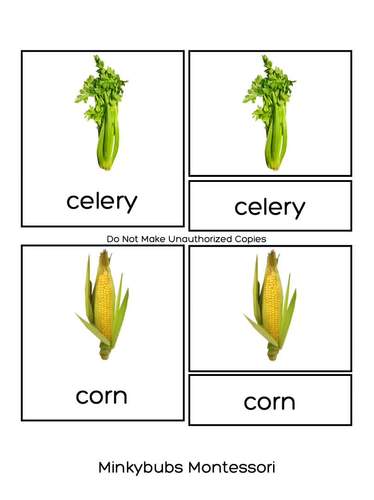 Fruits and Vegetables 3 Part Cards Food Montessori by Minkybubs Montessori