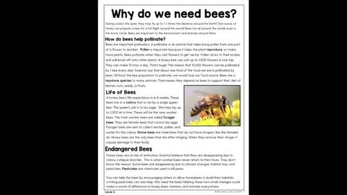 Informational Text Set {The Benefits of Bees} by The Literacy Loft