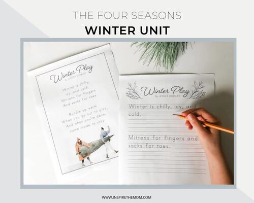 Winter Unit, Four Seasons Study, Winter Activities, Winter Printables