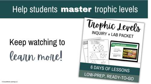 Food Webs and Trophic Pyramids Lesson by CrouseWorks Learning | TPT