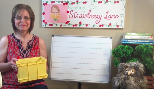 VIDEO: Reading: Set 1. Lesson 40. Word Family Pattern -inch | TPT