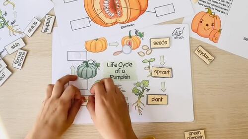 Pumpkin Unit Study Fall Homeschool Learning Materials Charlotte Mason