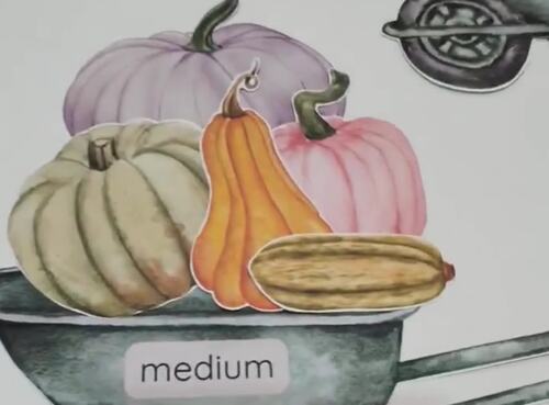 Pumpkin Activity Pack, Anatomy of a Pumpkin, Pumpkin Cards, Pattern ...