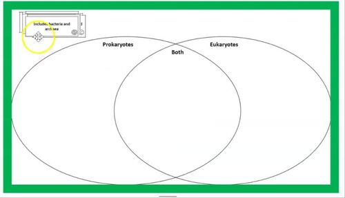 Biology End of Course (EOC) Final Review Bundle- Task Card Sets + Study ...