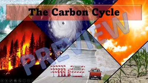 AP Environmental Science The Carbon Cycle Complete Lesson Plan BUNDLE