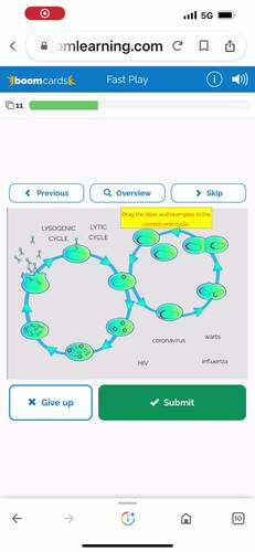 Biology STAAR EOC BOOM CARDS Cell Structure and Function by Colossal ...