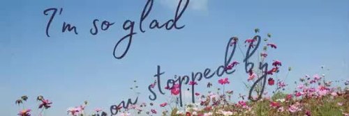 TPT Animated Quote Box & Banners Wild Flowers by Designed to Educate By DEB