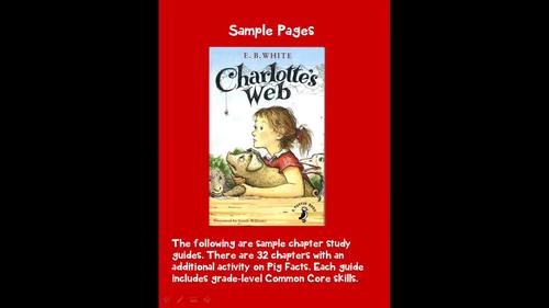 Common Core Charlotte's Web Chapter Worksheets CCSS Grades 2, 3, and 4.