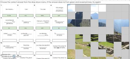 Ser Mystery Picture Multiple Choice Version Conjugation Practice