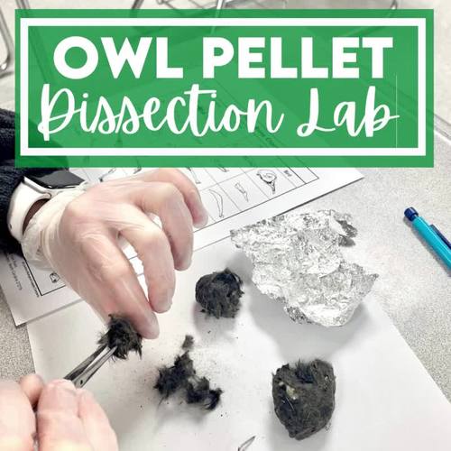 Owl Pellet Dissection Lab - Print & Digital Options | TPT