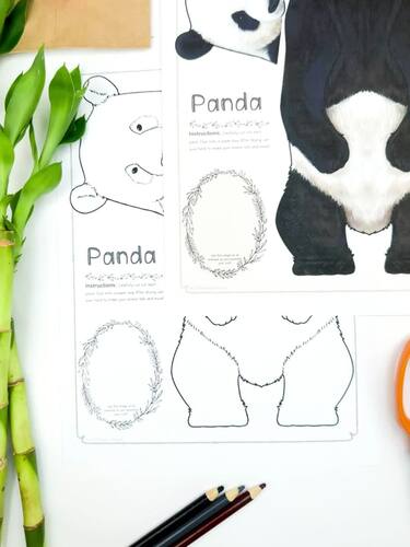 Panda | Paper Bag Puppet | Printable Craft Template | Pandas | TPT