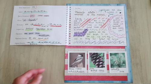 USA State Study Journal - New England Region by SunshineLife | TPT