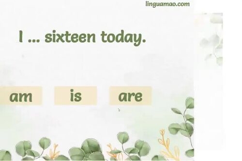 To Be Verb Present Simple. Interactive Quiz. by Linguamao ESL | TPT