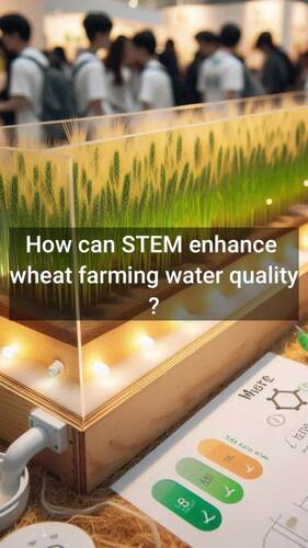STEM Fair Projects | STEM in Agriculture | Wheat Warriors | Scientific ...