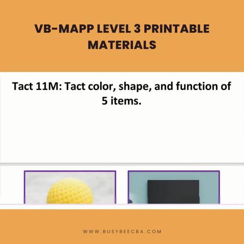 VB-MAPP LEVEL 3 Binder by The Busy BeeCBA | Teachers Pay Teachers