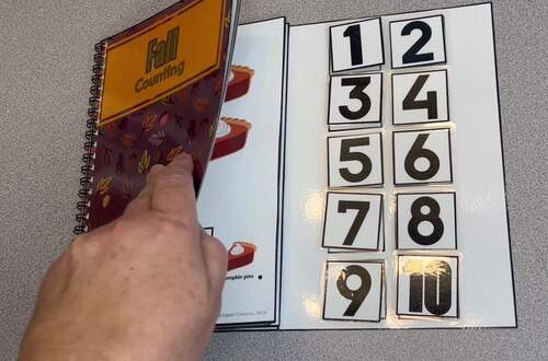 Fall Counting Adapted Book / Thanksgiving Counting Adaptive Book