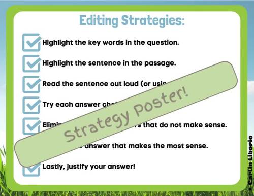 3rd Grade EDITING Set #3 STAAR Practice -Social Studies & Science ...