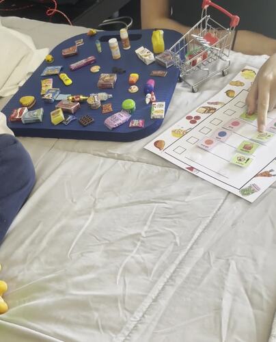 Shopping List Activity- Labeling Items by Feature, Function and Class