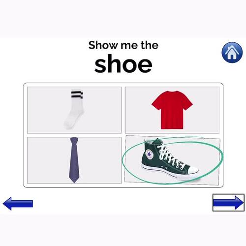 Identifying Common Objects (F:4) BOOM CARDS™ by Bri-SLP | TPT