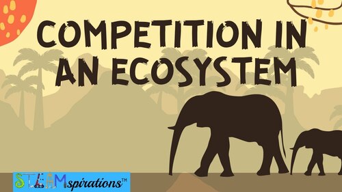 Competition in an Ecosystem| Mutualism, Intraspecific, Interspecific ...